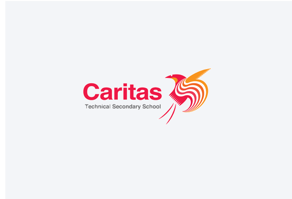 Building expansion for Caritas Secondary Tech School - Omega BCI